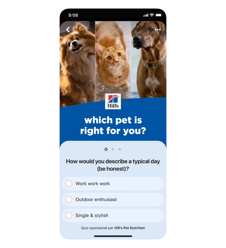 Guide : Les formats Pinterest Ads (épingle, vidéo...)